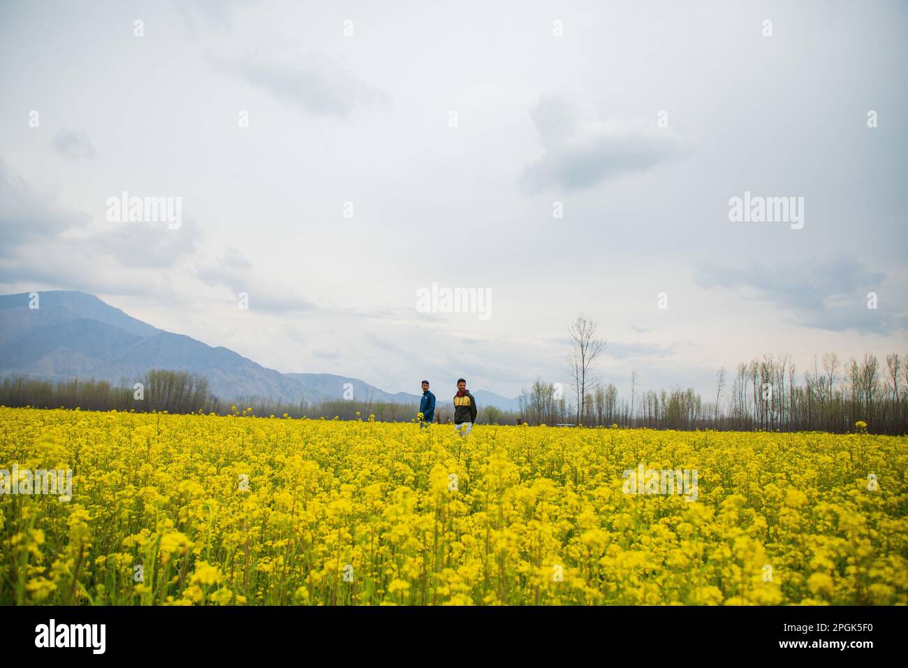 March 18, 2023, Srinagar, Jammu and Kashmir, India: Kashmiri boys walk ...