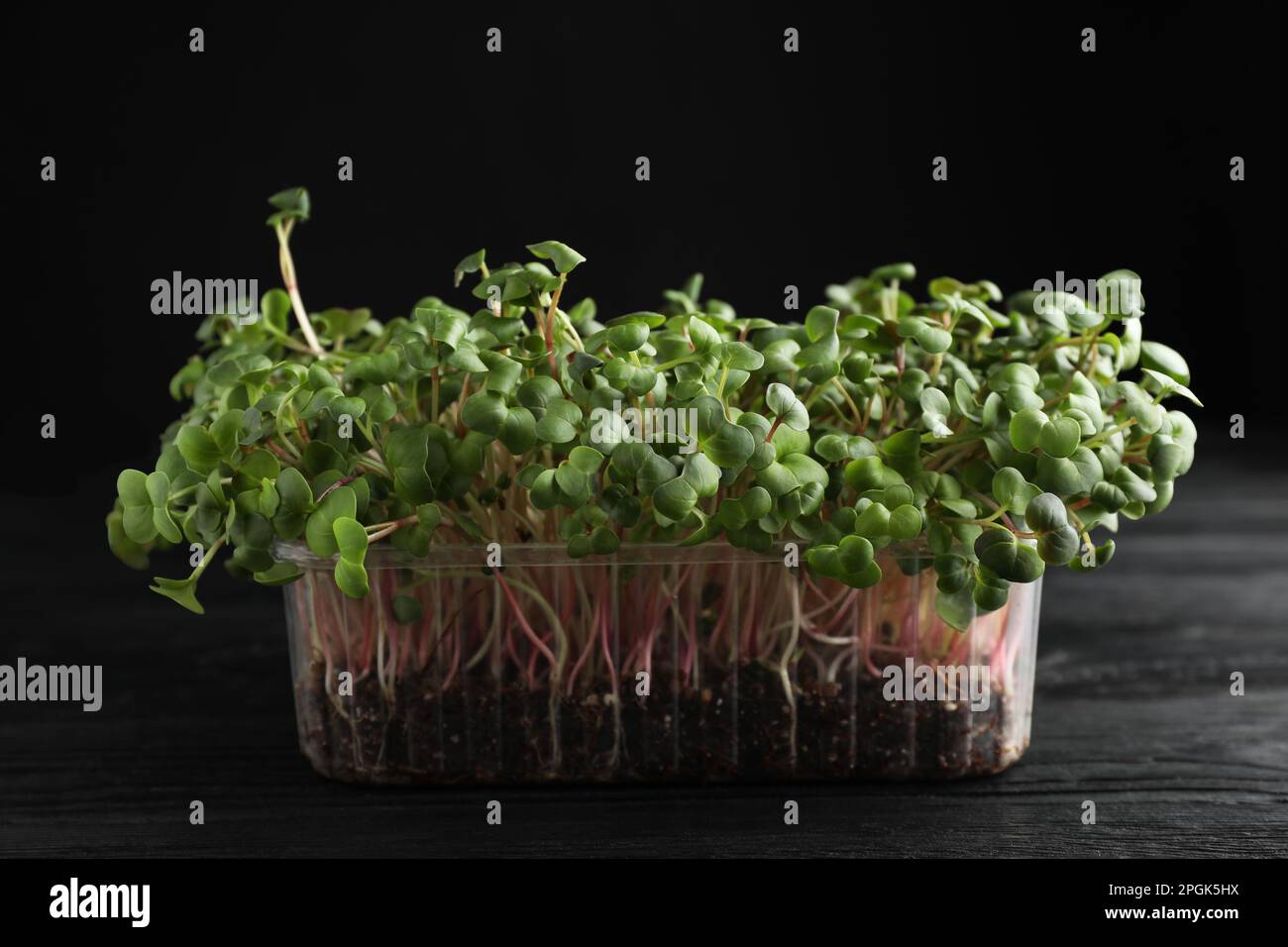 Salad cress in plastic container hi-res stock photography and images ...
