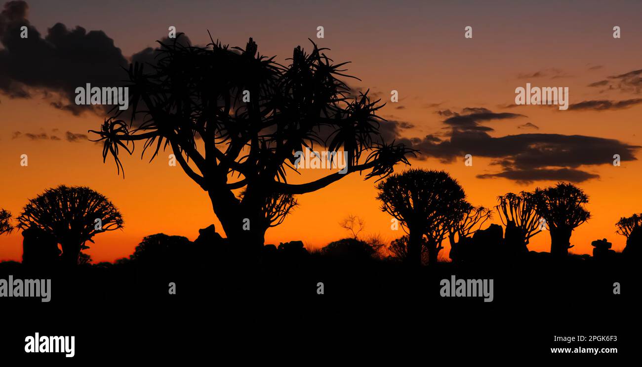 Sunset in the Landscape of Namibia Africa Stock Photo - Alamy