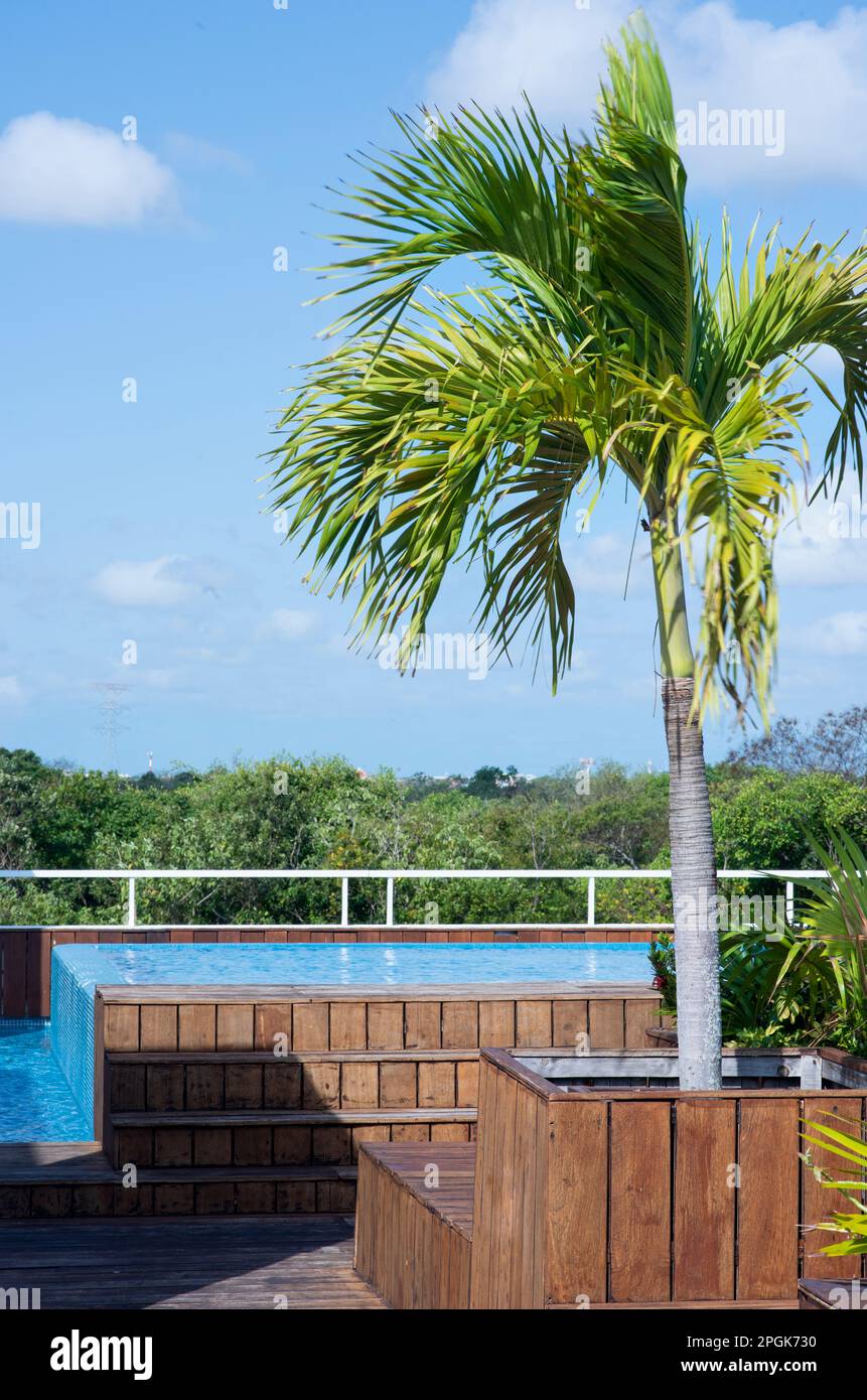 Rooftop relaxation hi-res stock photography and images - Alamy
