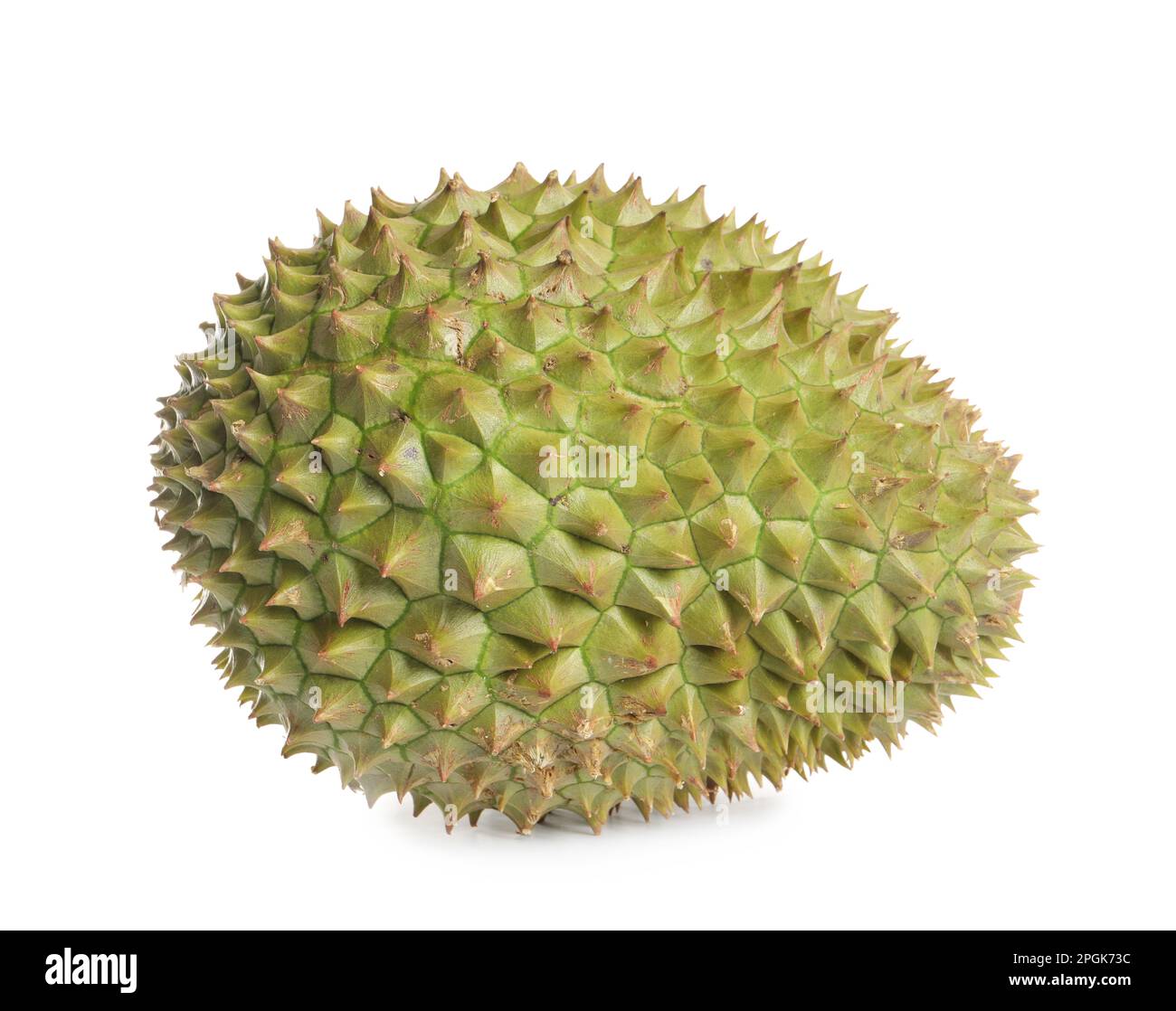 One whole ripe durian isolated on white Stock Photo - Alamy