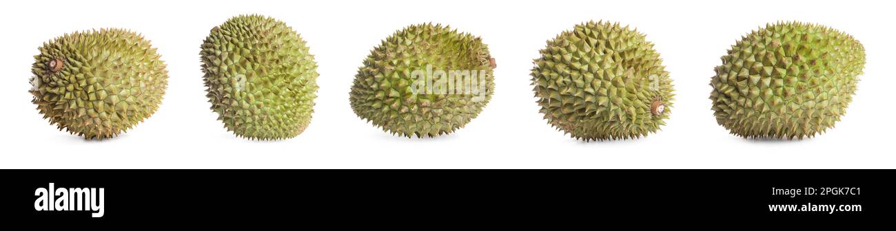 Set with ripe durians on white background. Banner design Stock Photo ...