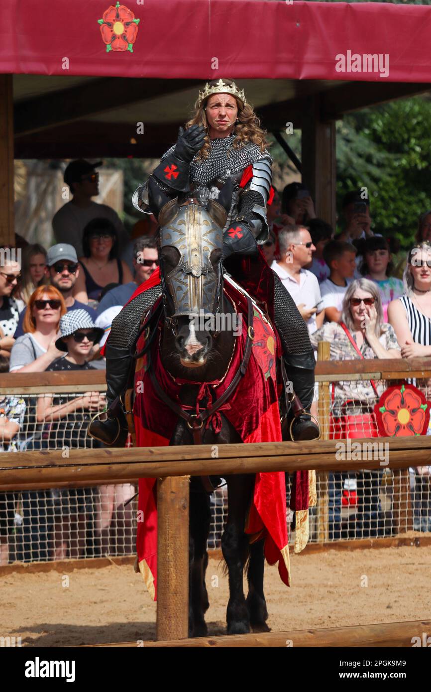 Armored Destrier Horse
