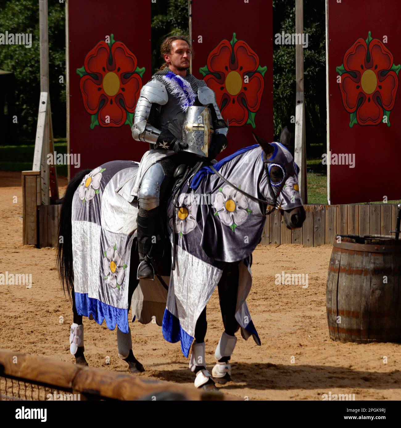 A knight in shining armor is gallantly riding a majestic horse with his ...