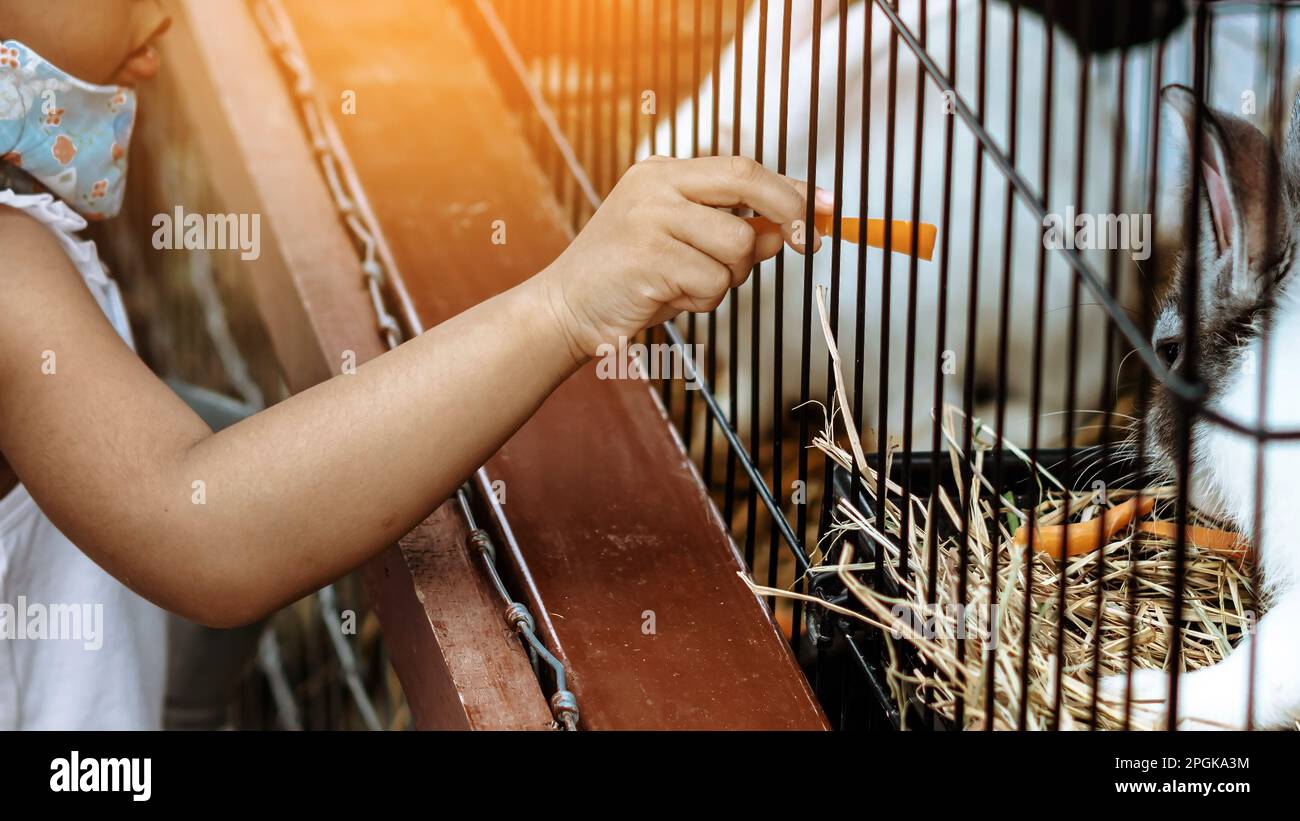 Adorable little girl feeding rabbit at farm. Kid feeding and petting ...