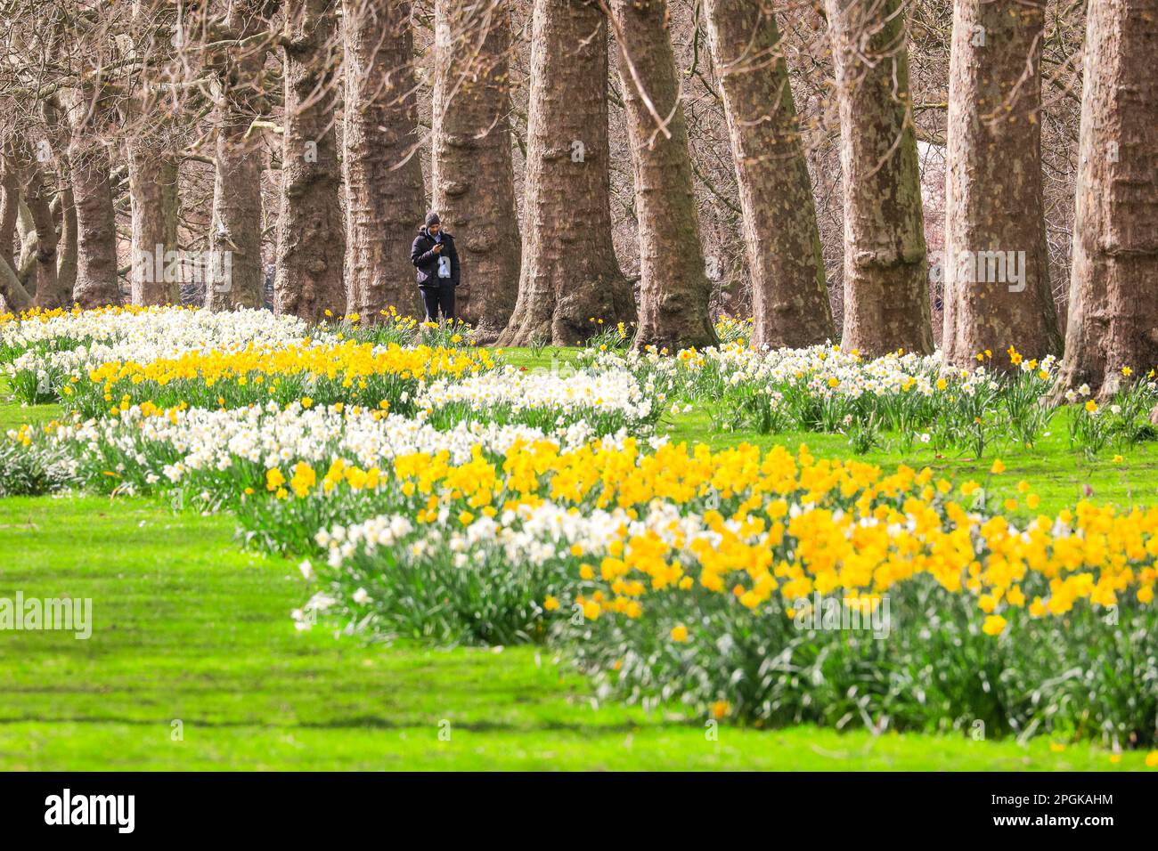 London, UK. 23rd Mar, 2023. People enjoy the sunshine, mild ...