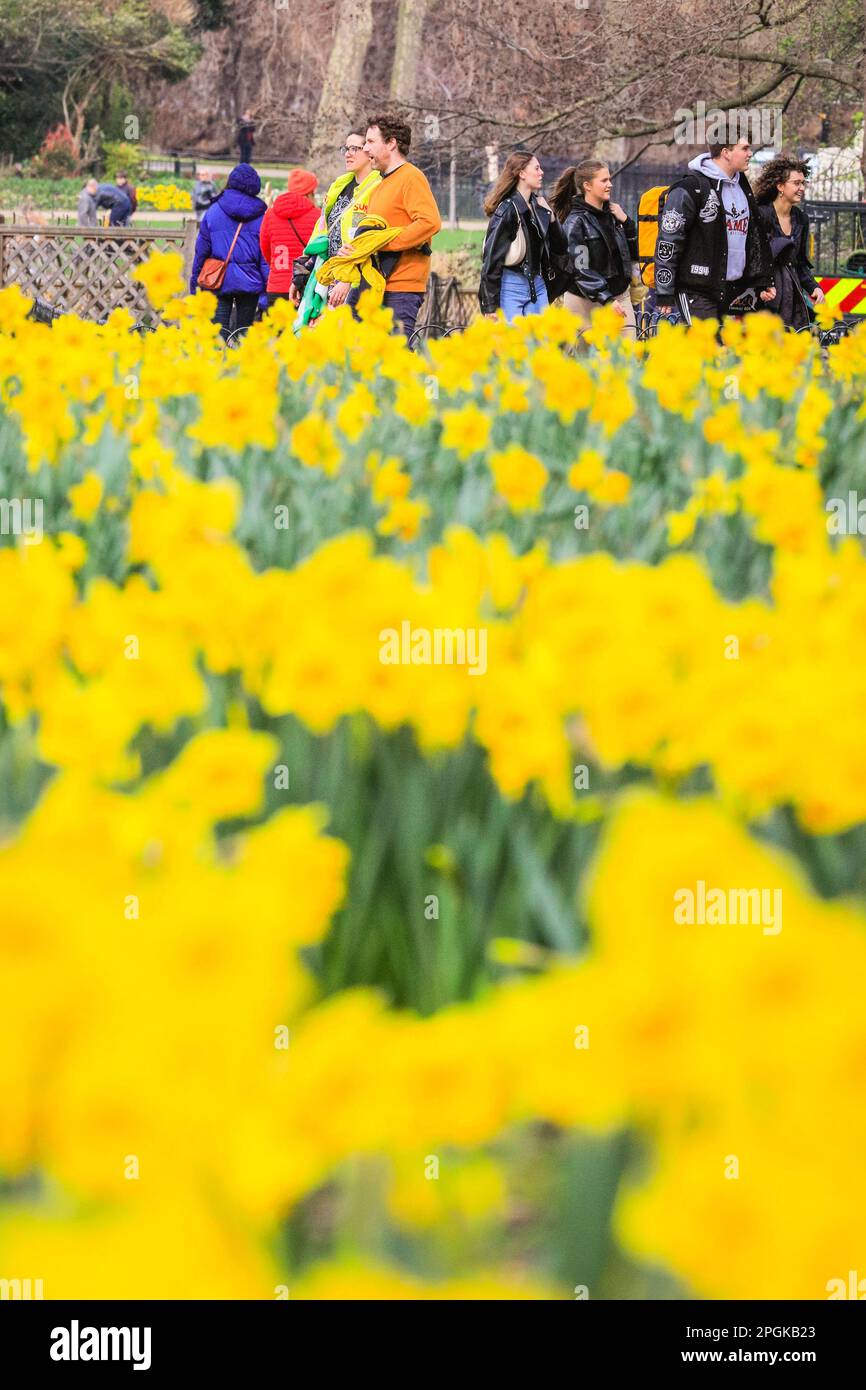 London, UK. 23rd Mar, 2023. People enjoy the sunshine, mild ... London, UK. 23rd Mar, 2023. People enjoy the sunshine, mild ...