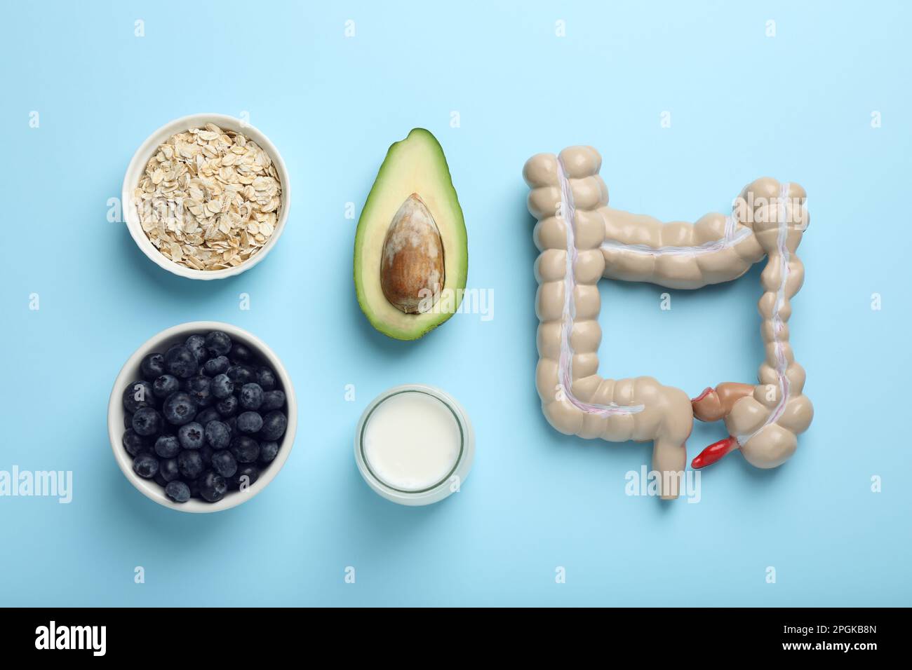 Layout of intestine model and products to help digestion on turquoise ...