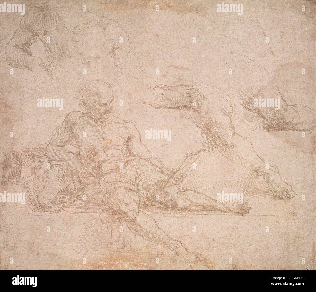 Study for the figure of Diogenes in the "School of Athens" 1509/1510 by ...