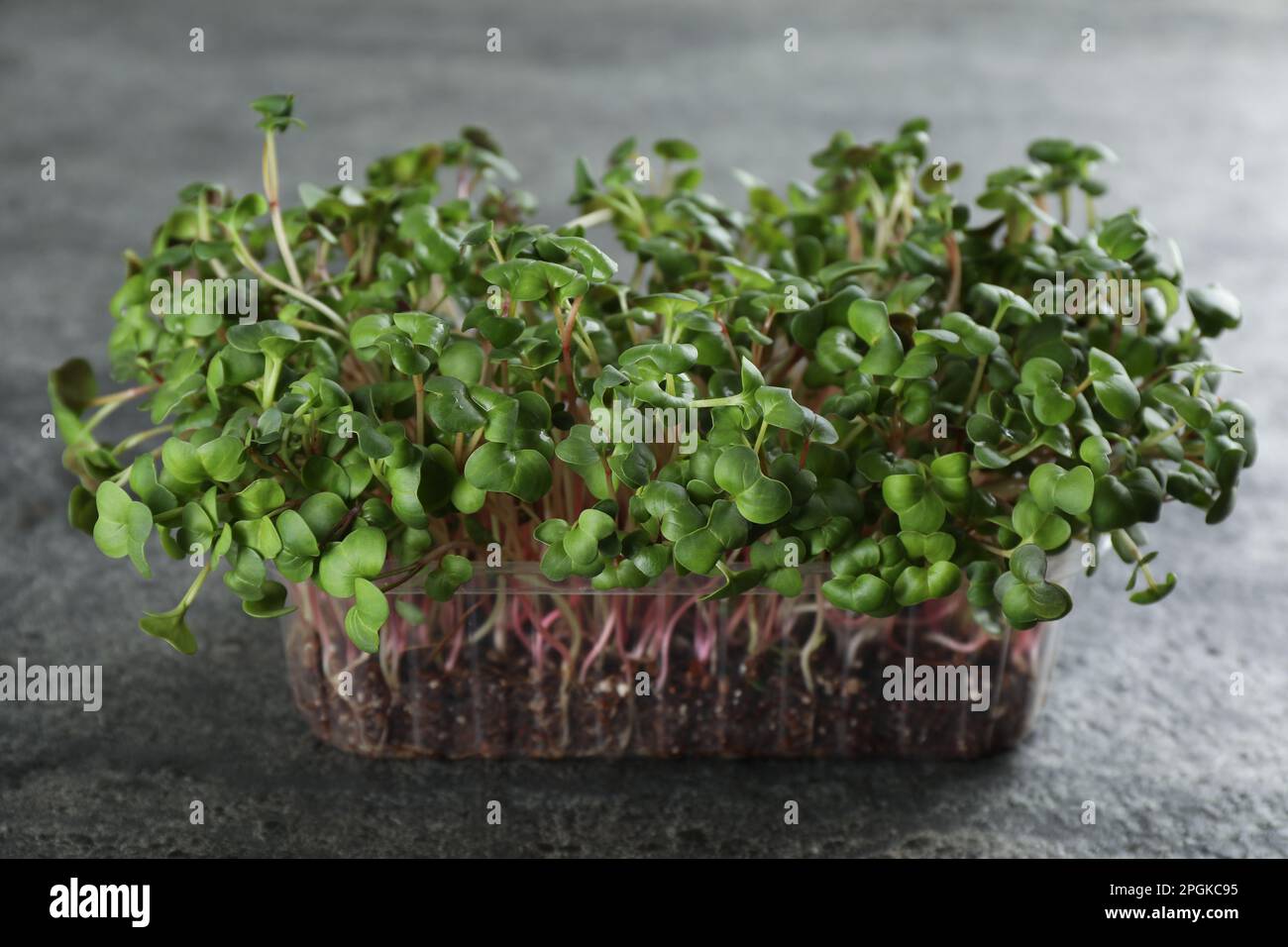 Salad cress in plastic container hi-res stock photography and images ...