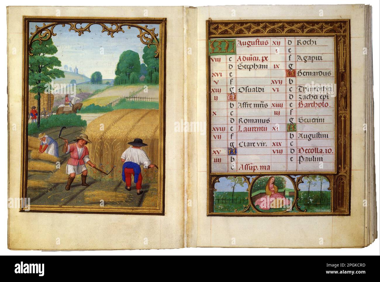 Binding into sheaves hi-res stock photography and images - Alamy