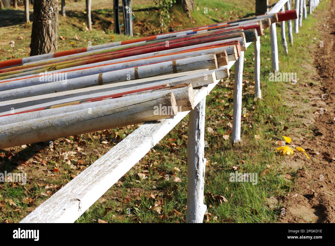 Colorful hurdles obstacles barriers in row at an equestrian centre ...