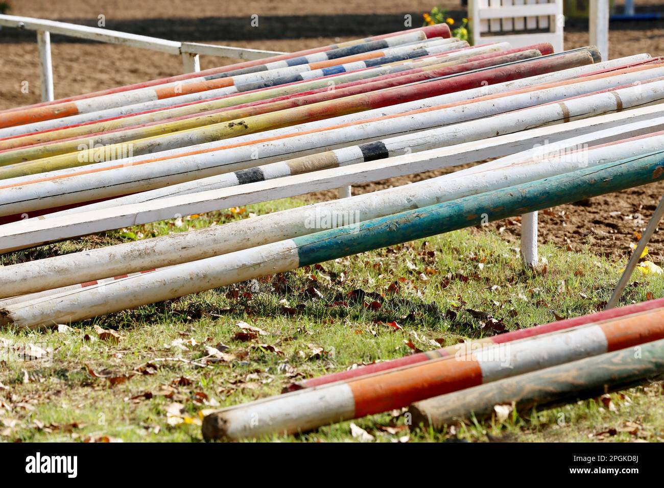 Colorful hurdles obstacles barriers in row at an equestrian centre ...
