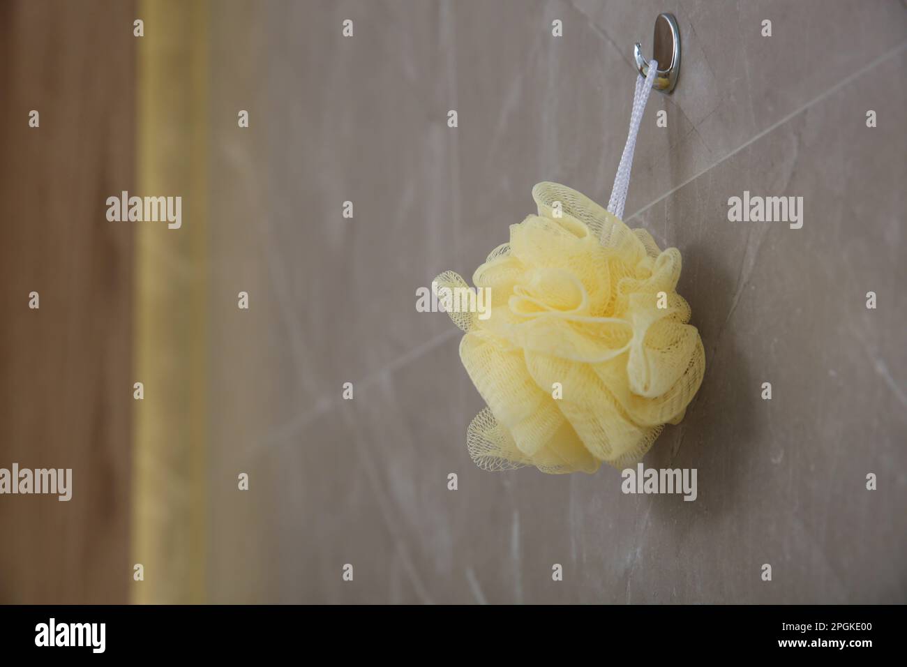 Yellow sponge hanging on grey wall in bathroom Stock Photo - Alamy