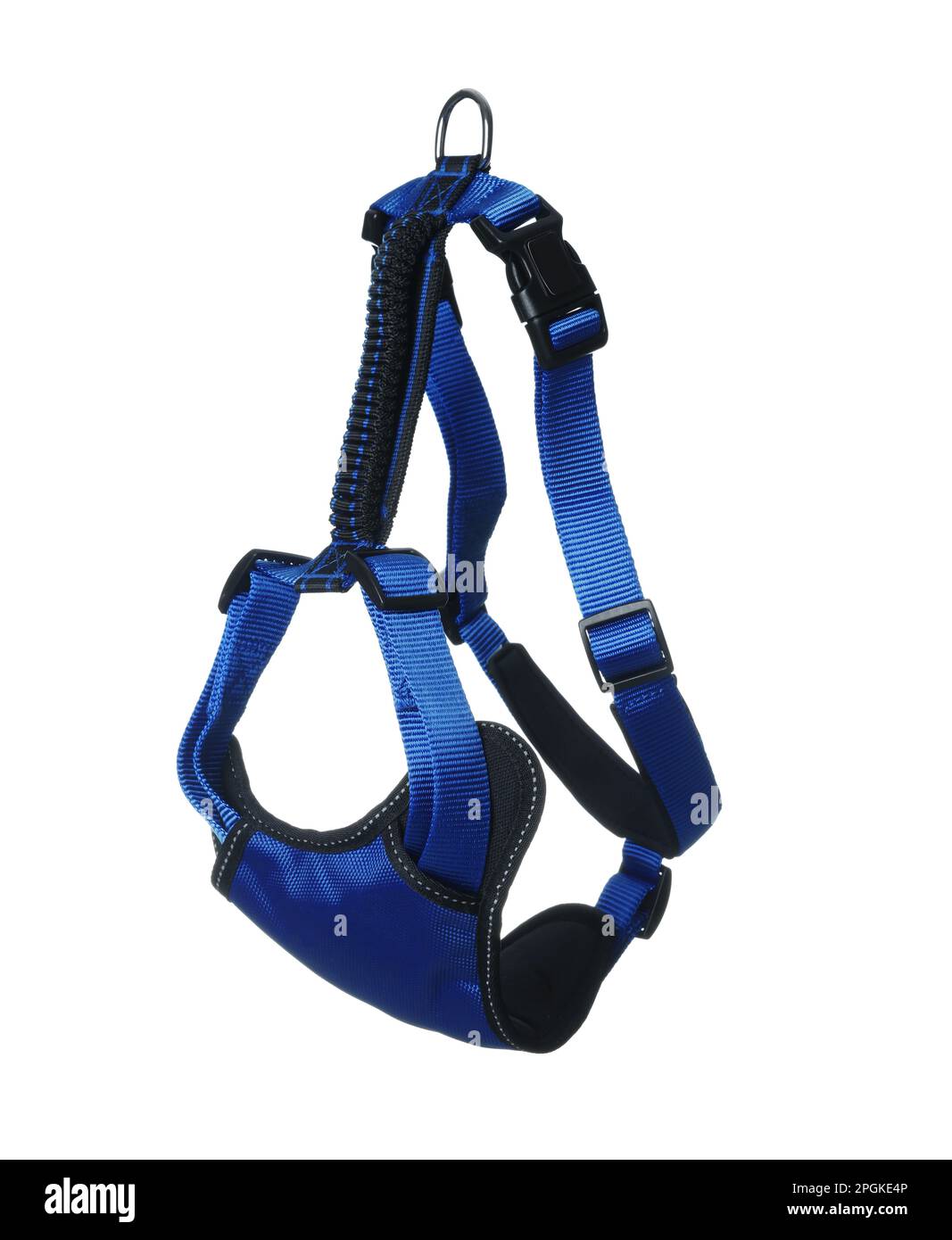 Blue dog harness isolated on white. Pet accessory Stock Photo - Alamy