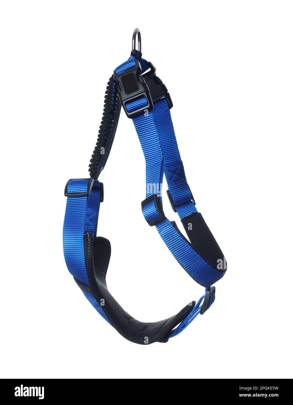 Blue dog harness isolated on white. Pet accessory Stock Photo - Alamy