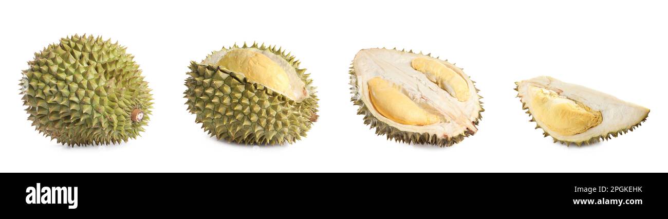 Set with ripe durians on white background. Banner design Stock Photo ...