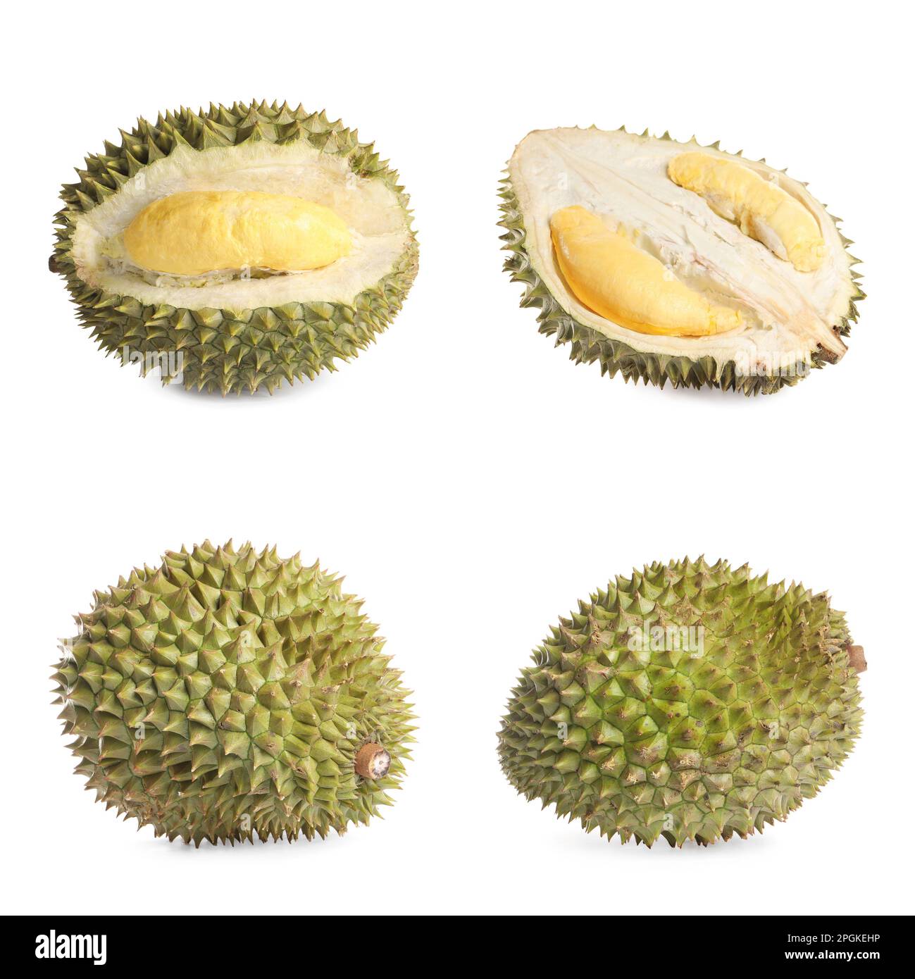 Musang king durians hi-res stock photography and images - Alamy