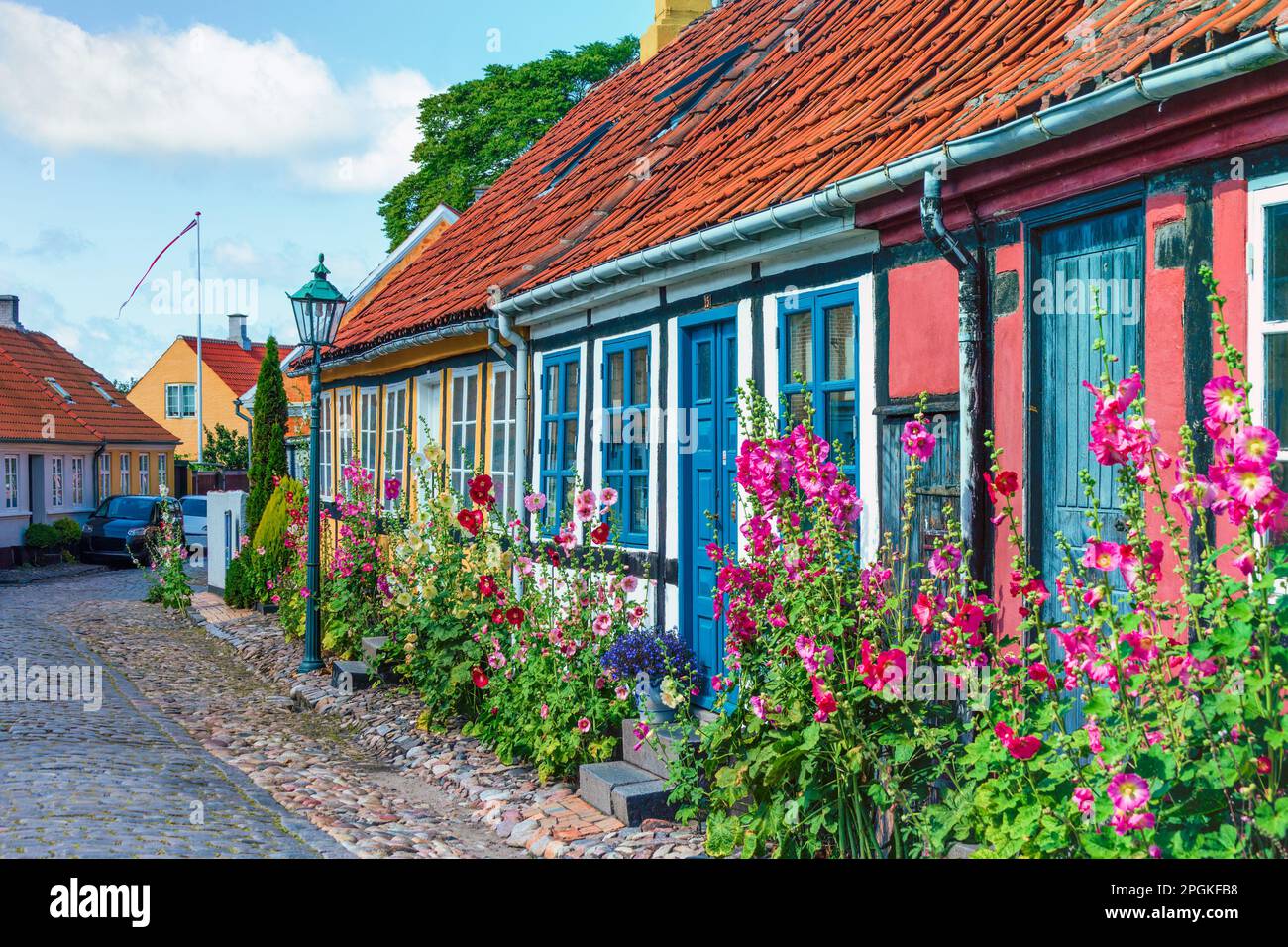 Traditional town streets growed by colorful hollyhock flowers on ...