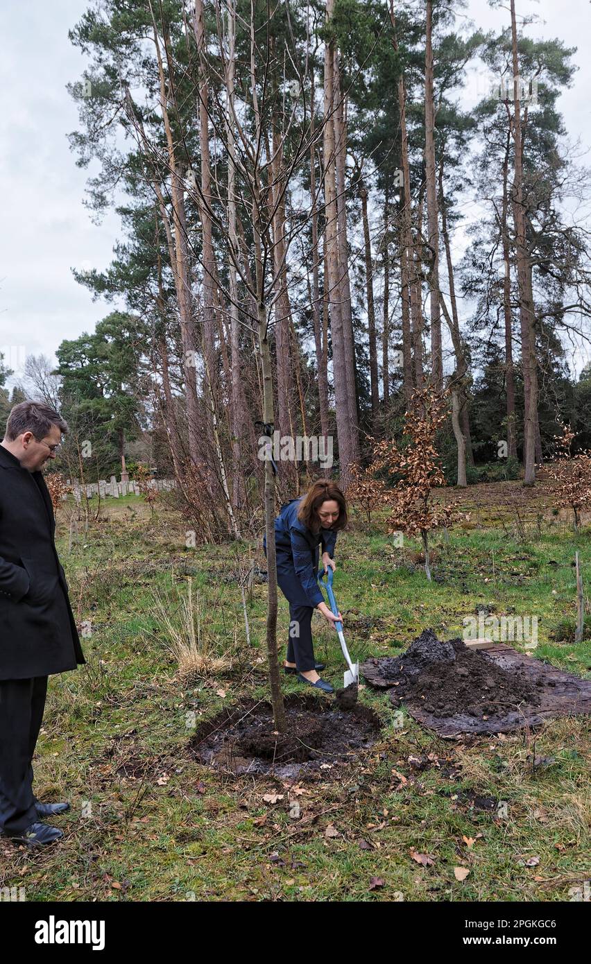 Qeii platinum jubilee tree hi-res stock photography and images - Alamy