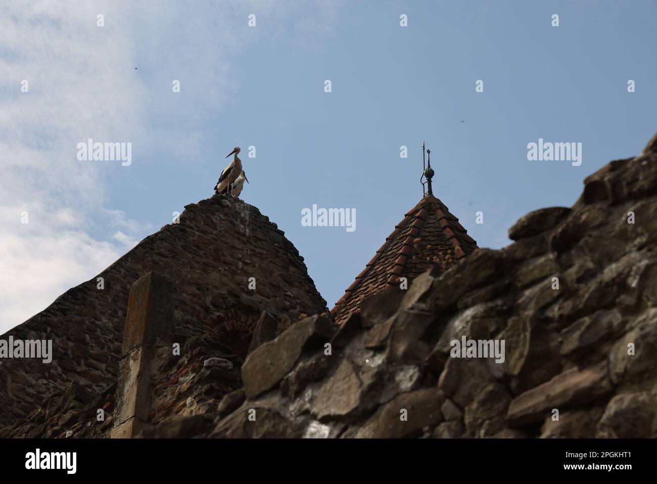 Silhouettes of two storks on the roof of Cârța Monastery Stock Photo ...