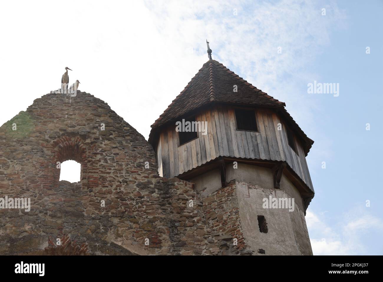 Silhouettes of two storks on the roof of Cârța Monastery Stock Photo ...