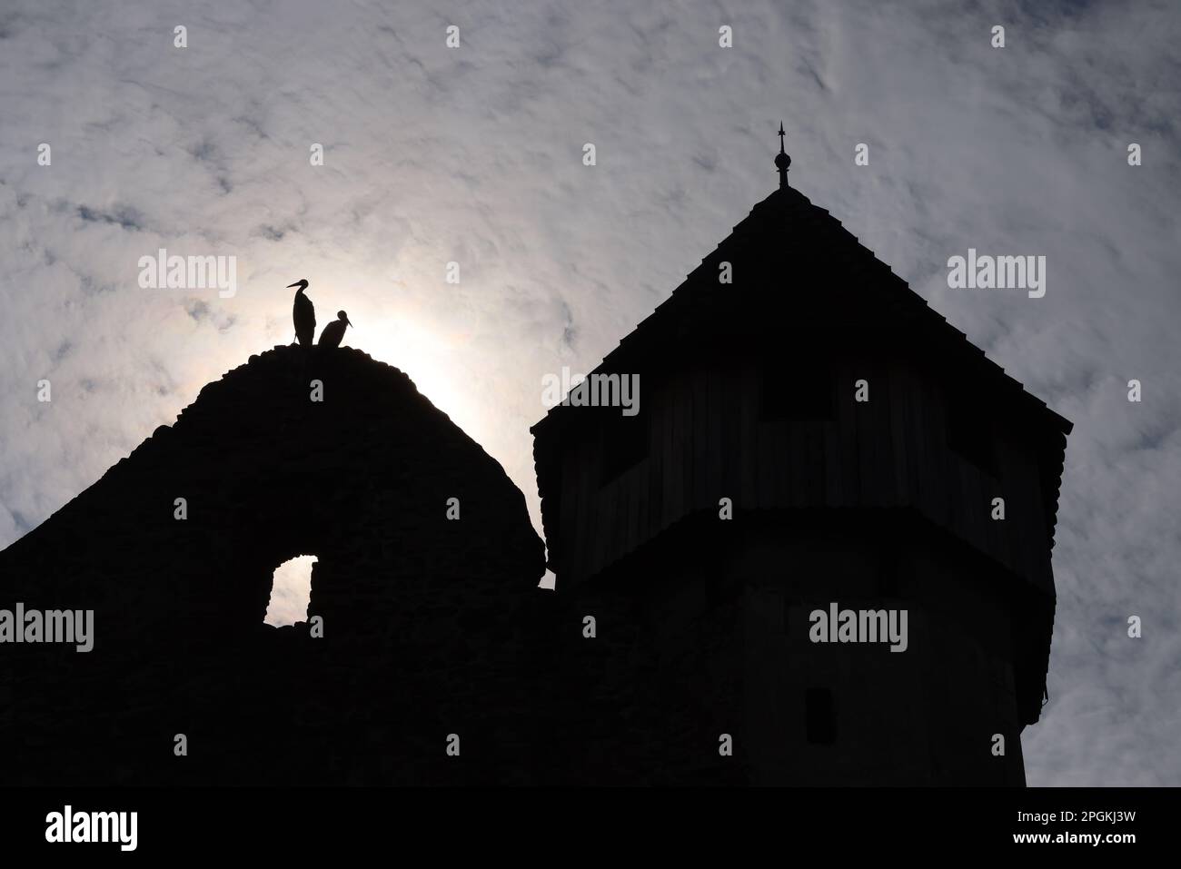 Silhouettes of two storks on the roof of Cârța Monastery Stock Photo ...