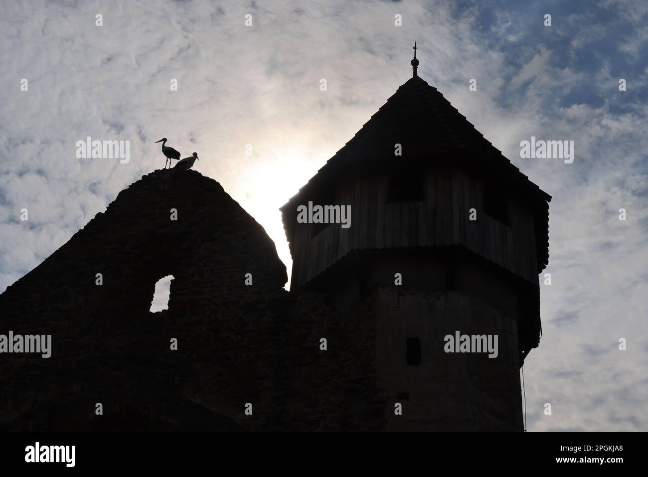 Silhouettes of two storks on the roof of Cârța Monastery Stock Photo ...