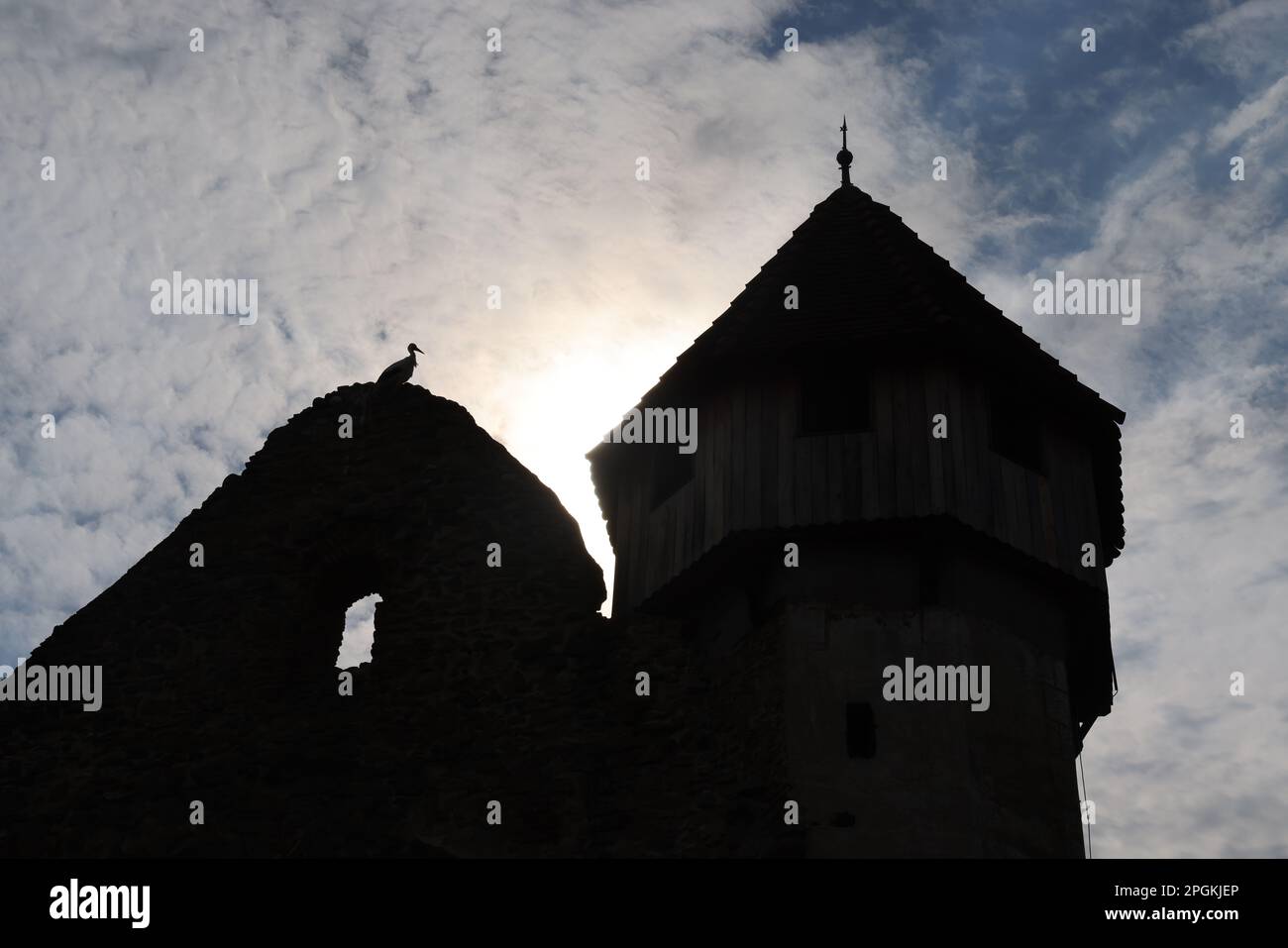Silhouettes of two storks on the roof of Cârța Monastery Stock Photo ...
