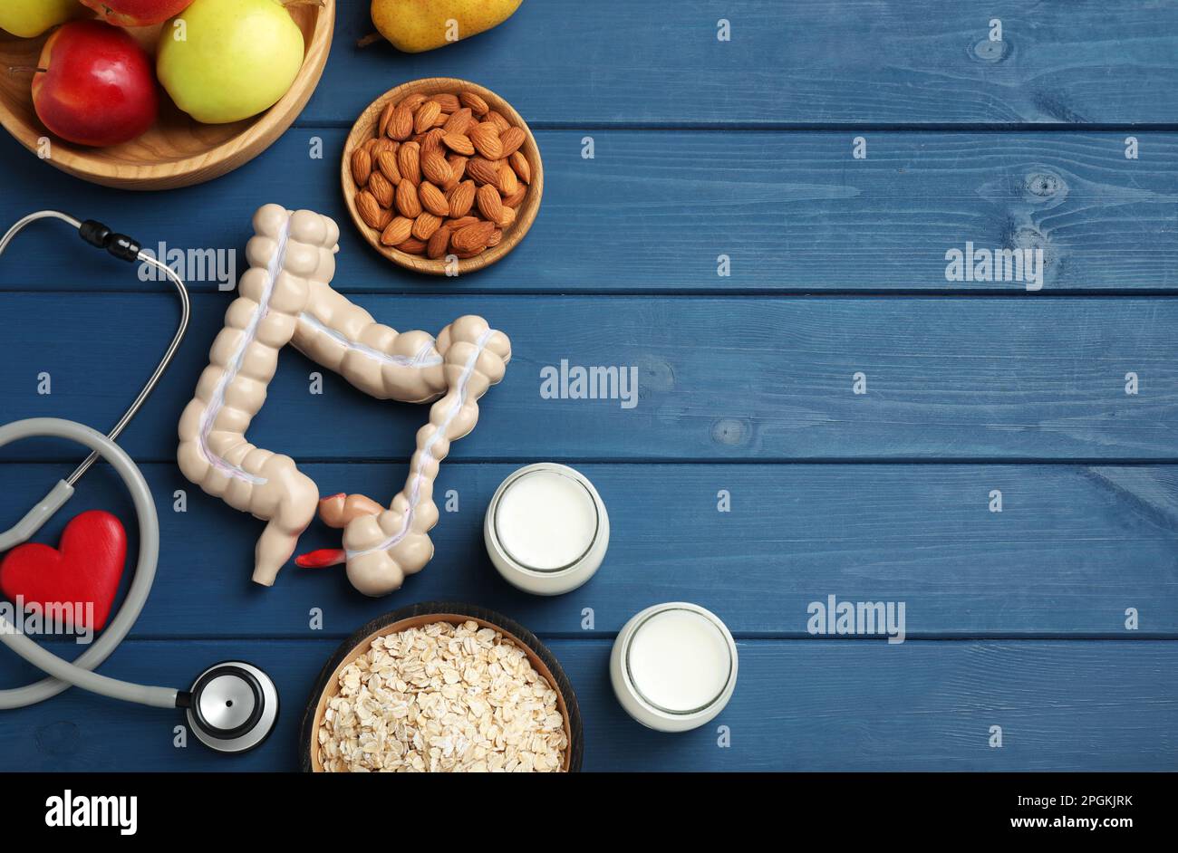 Layout of intestine model and products to help digestion on blue wooden ...