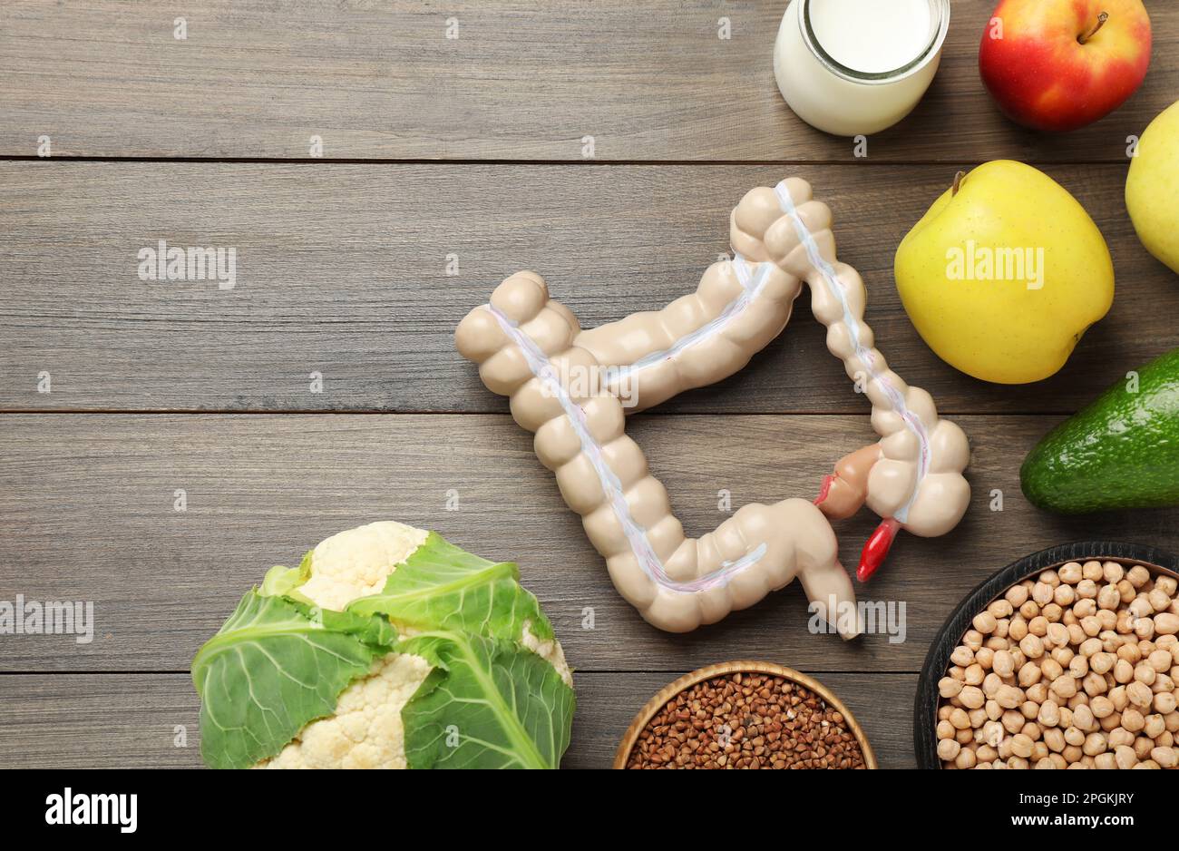 Layout of intestine model and products to help digestion on wooden ...