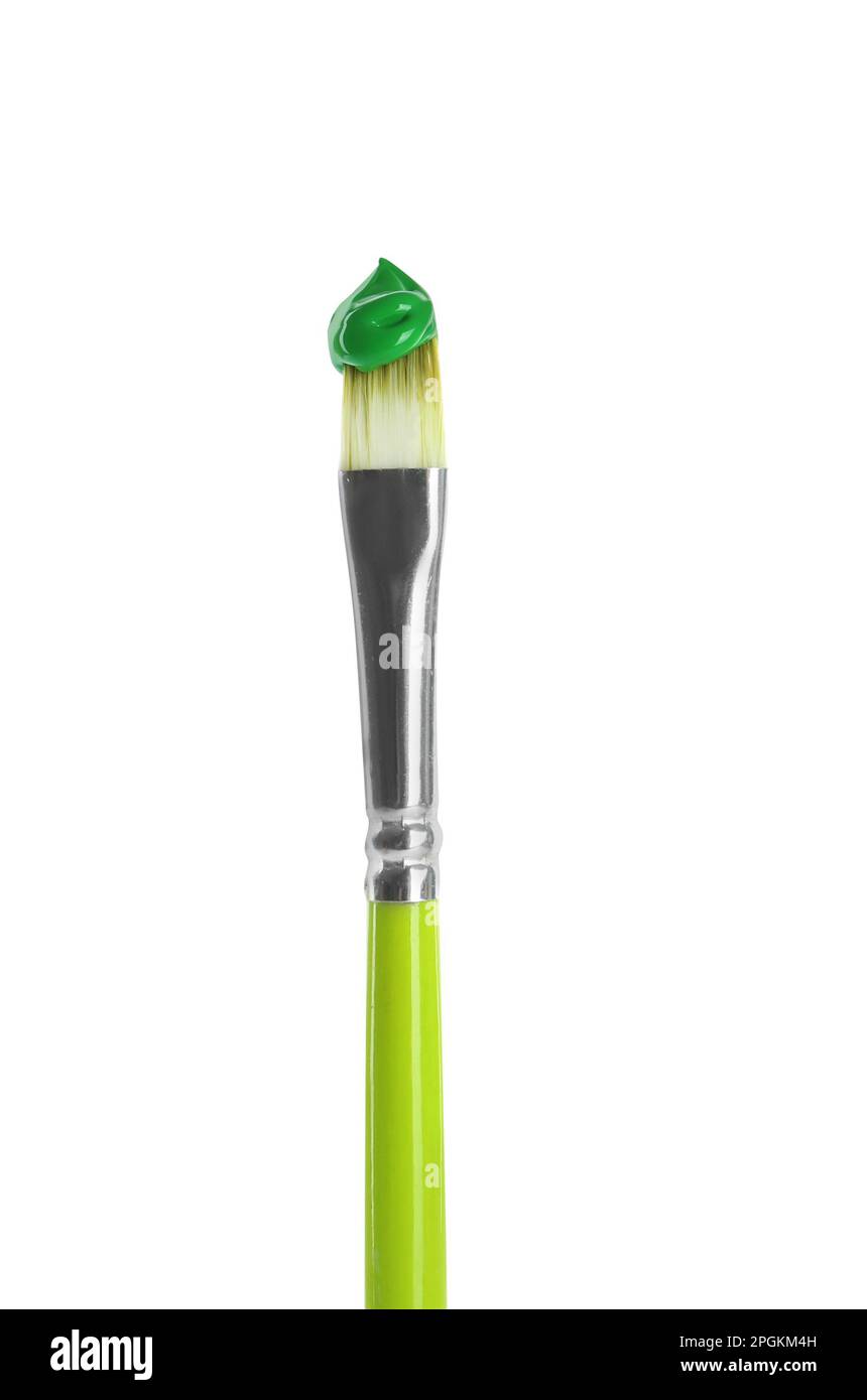 Brush with green paint isolated on white Stock Photo - Alamy