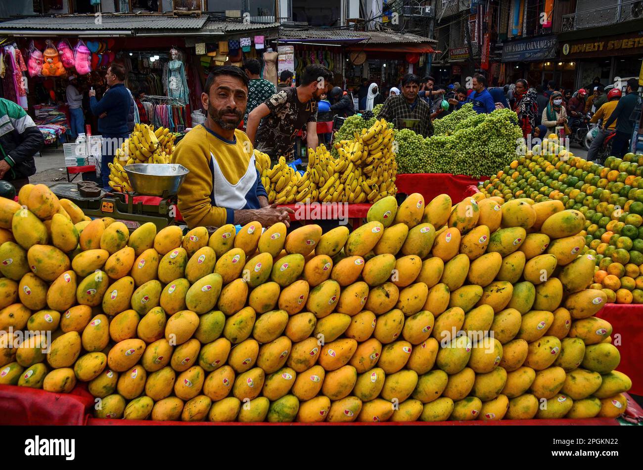 Srinagar, India. 23rd Mar, 2023. A Kashmiri street vendor sells mangoes ...