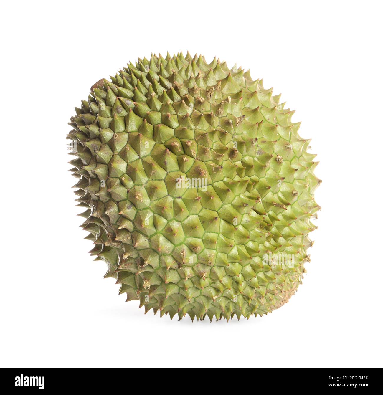 One whole ripe durian isolated on white Stock Photo - Alamy