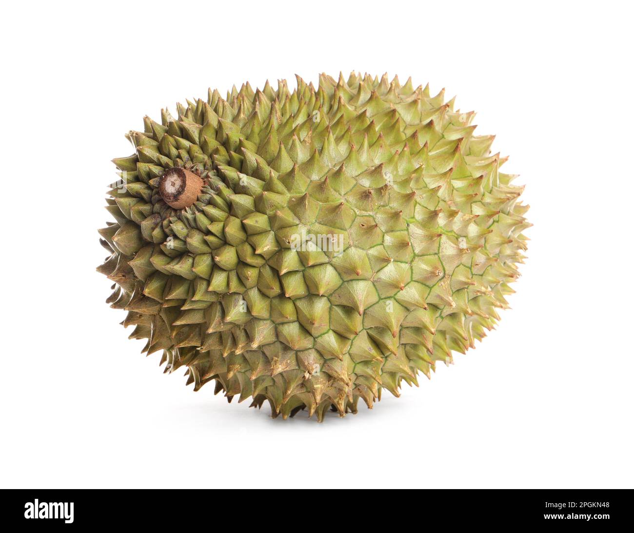 Whole durian hi-res stock photography and images - Alamy