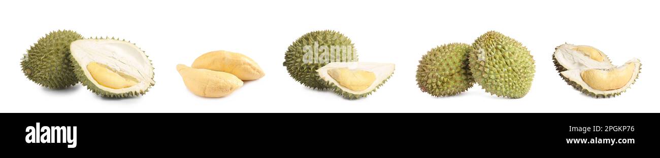 Musang king durians hi-res stock photography and images - Alamy