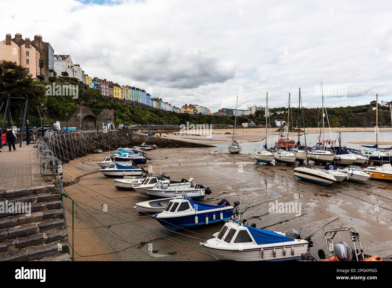 Tenby harbour and town houses overlooking, Tenby, Pembrokeshire, Wales ...
