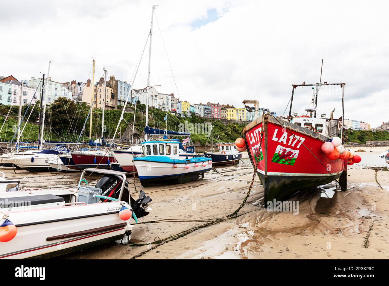 Tenby harbour and town houses overlooking, Tenby, Pembrokeshire, Wales ...