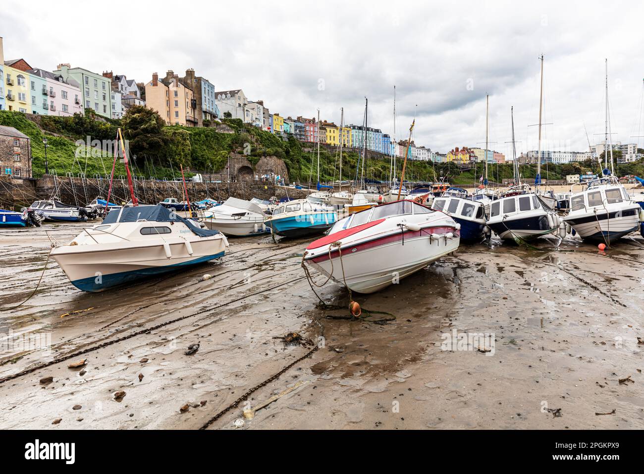 Tenby harbour and town houses overlooking, Tenby, Pembrokeshire, Wales ...