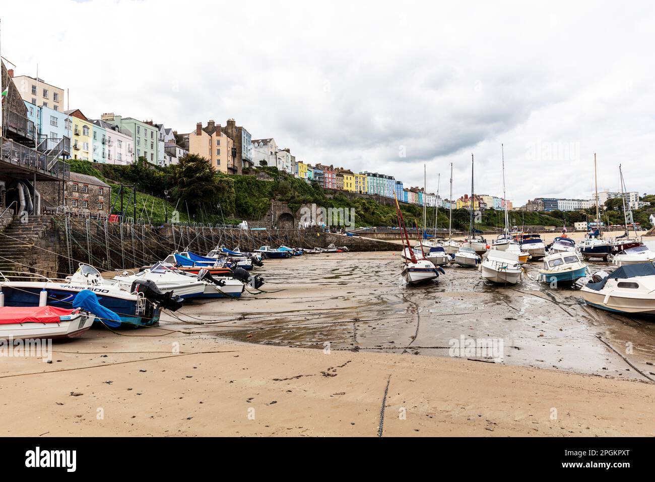 Tenby harbour and town houses overlooking, Tenby, Pembrokeshire, Wales ...