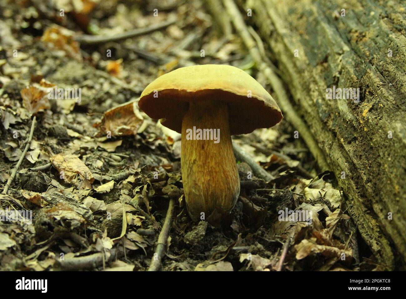 Break through in healing trauma hi-res stock photography and images - Alamy