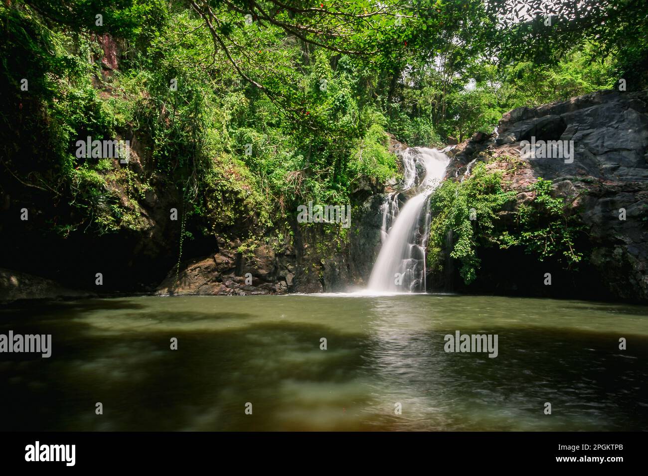 A waterfall in the forest, a natural stream of water that flows through ...