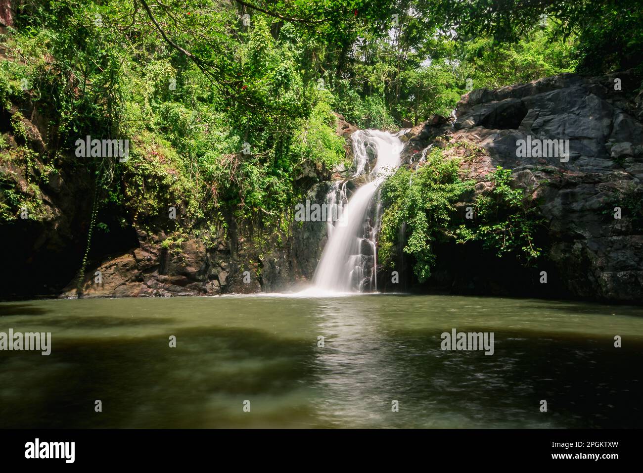 A waterfall in the forest, a natural stream of water that flows through ...