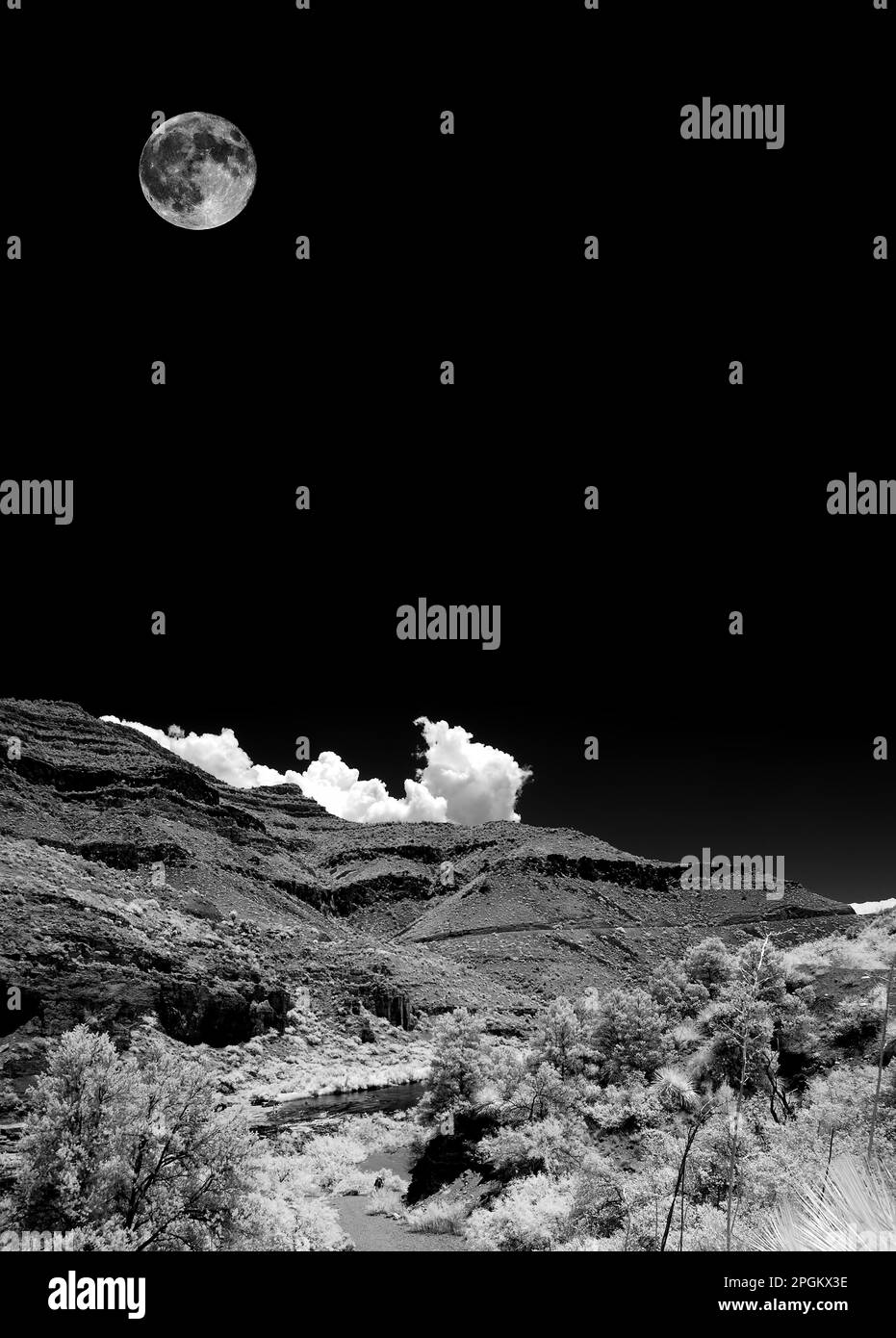 Desert moon over the southwestern USA Sonora desert and mountains Stock ...
