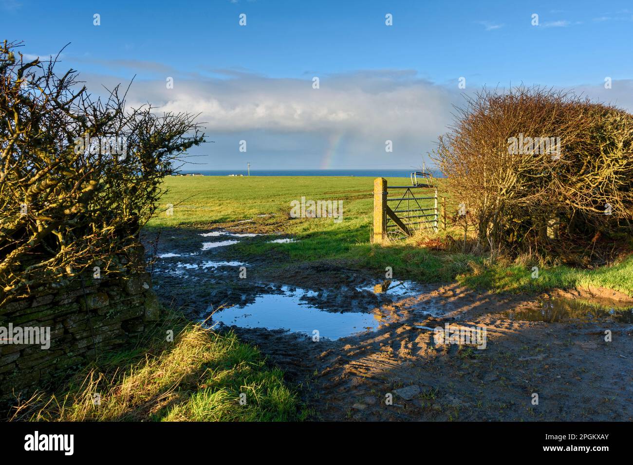 A distant rainbow over the Pentland Firth, from a muddy field gate near ...