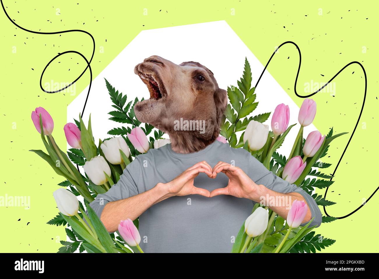 Creative picture template collage of crazy boyfriend with moose face ...