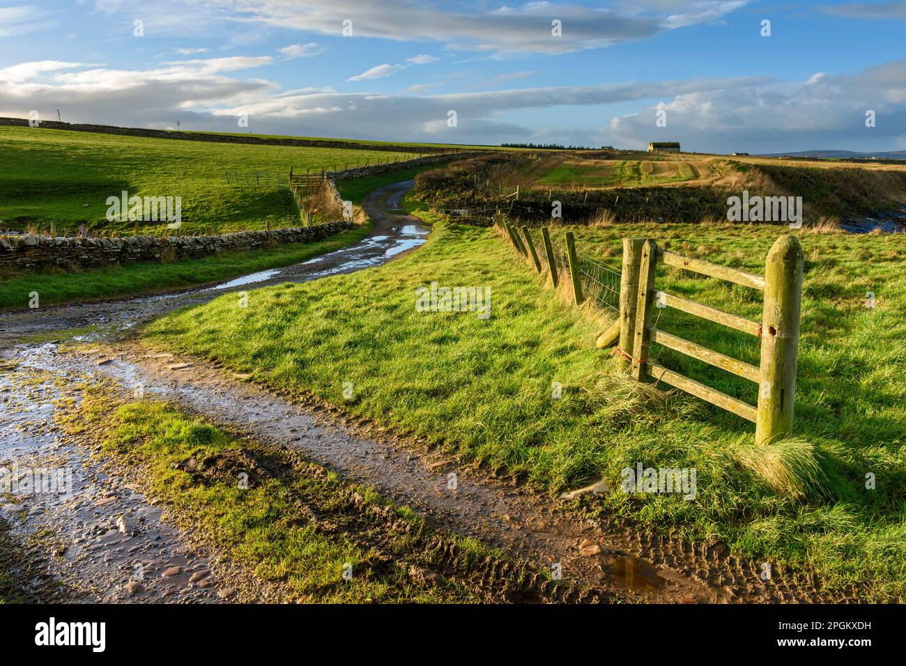 Wet muddy field hi-res stock photography and images - Alamy