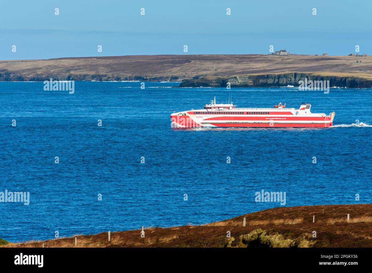 The Gills Bay to Orkney ferry, the MV Alfred, passing by the eastern ...