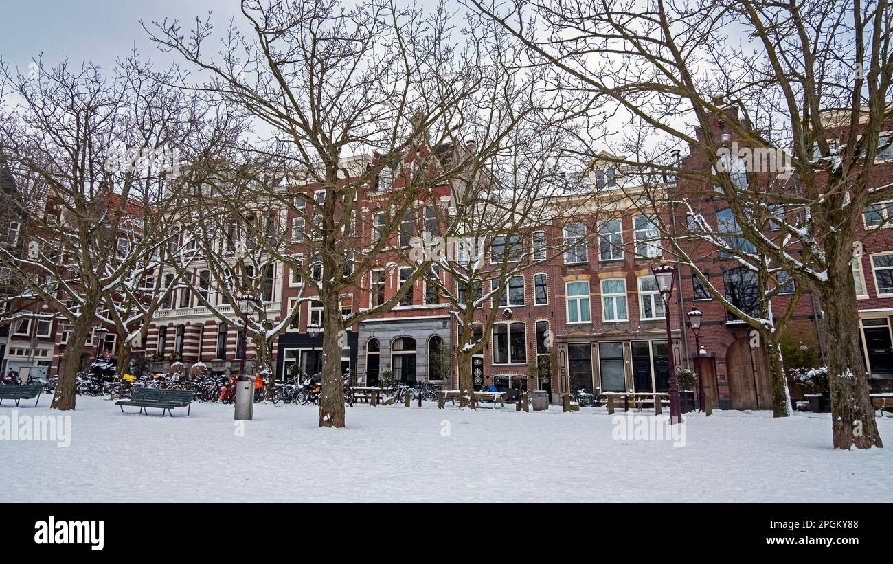 Snowy Amsterdam houses in winter in the Netherlands Stock Photo - Alamy