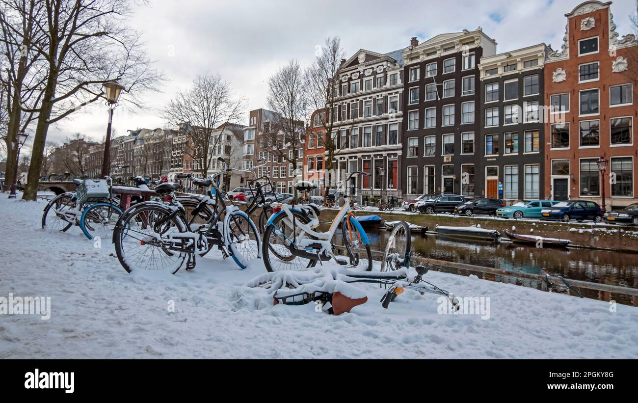 Amsterdam winter scene tree hi-res stock photography and images - Alamy